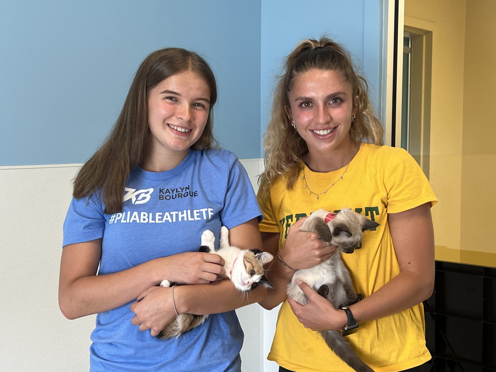 Bourque Sisters Produce PSA with the Waterville Humane Society - Kaylyn ...